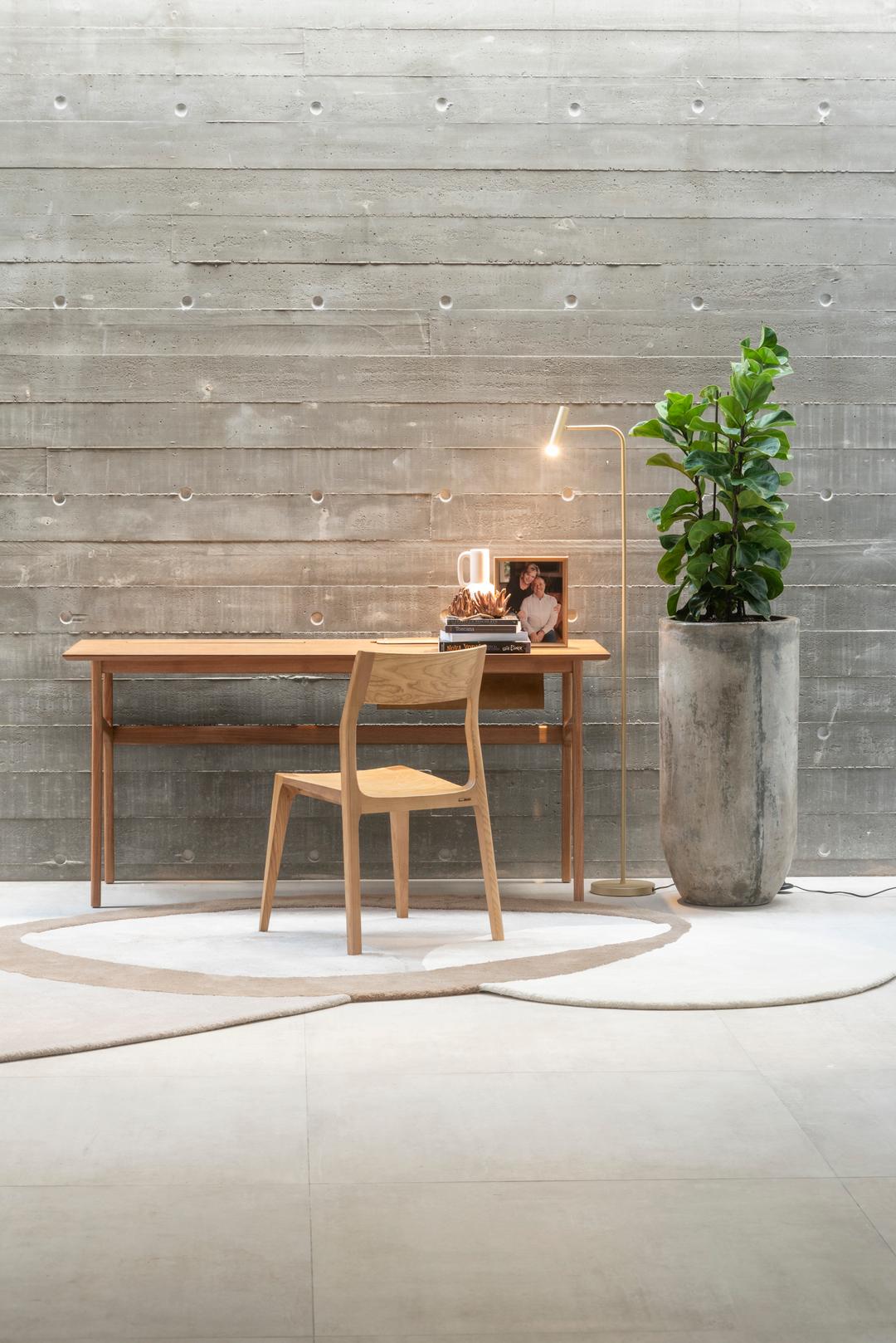 Lanzamientos - Productos - Saccaro