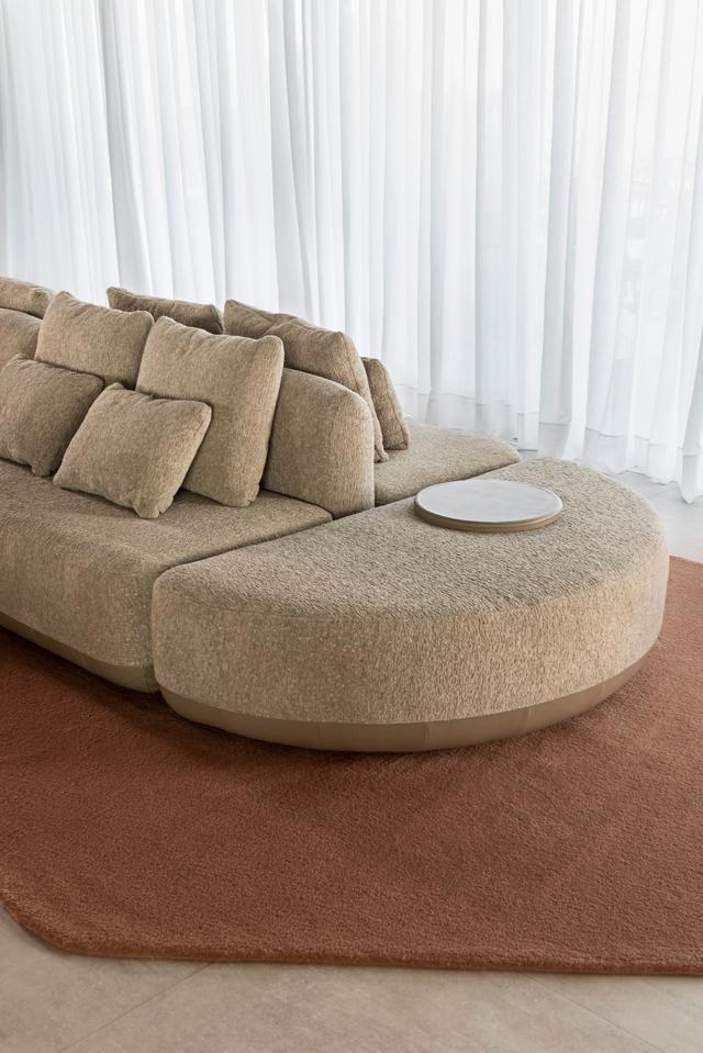 Lanzamientos - Productos - Saccaro