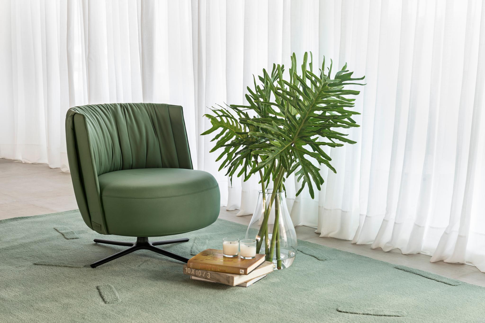 Lanzamientos - Productos - Saccaro